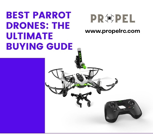 10 Best Parrot Drones To Buy In 2025 | Budget Friendly