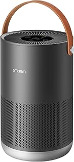 Smartmi P1 Air Purifier Review 2025: HomeKit, Allergy Relief & Performance